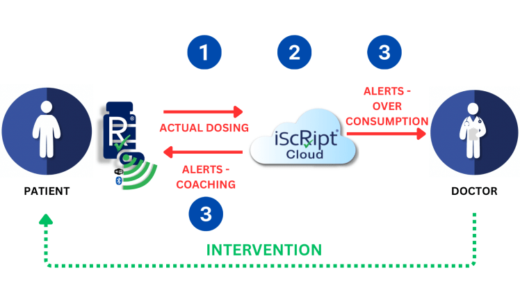iscRipt® – Data Driven Insights